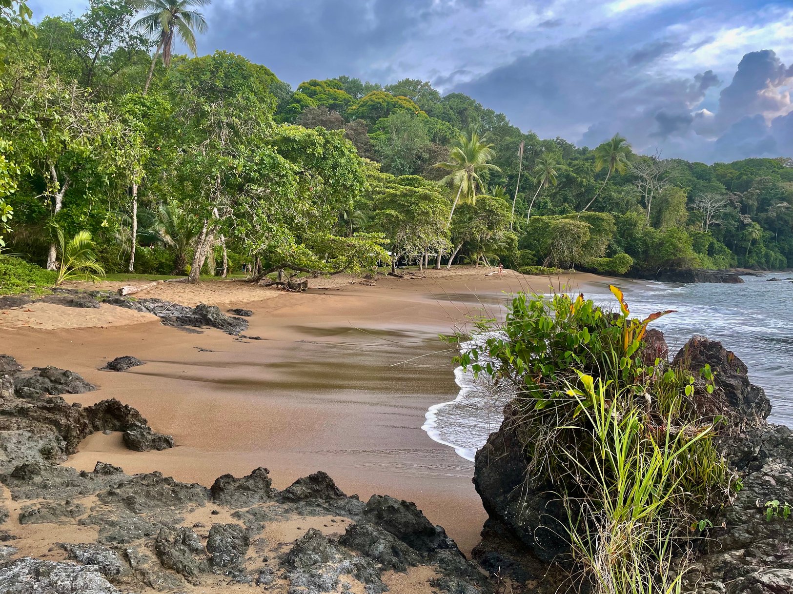 Some Of The Best Snorkeling Is Around Drake Bay Costa Rica